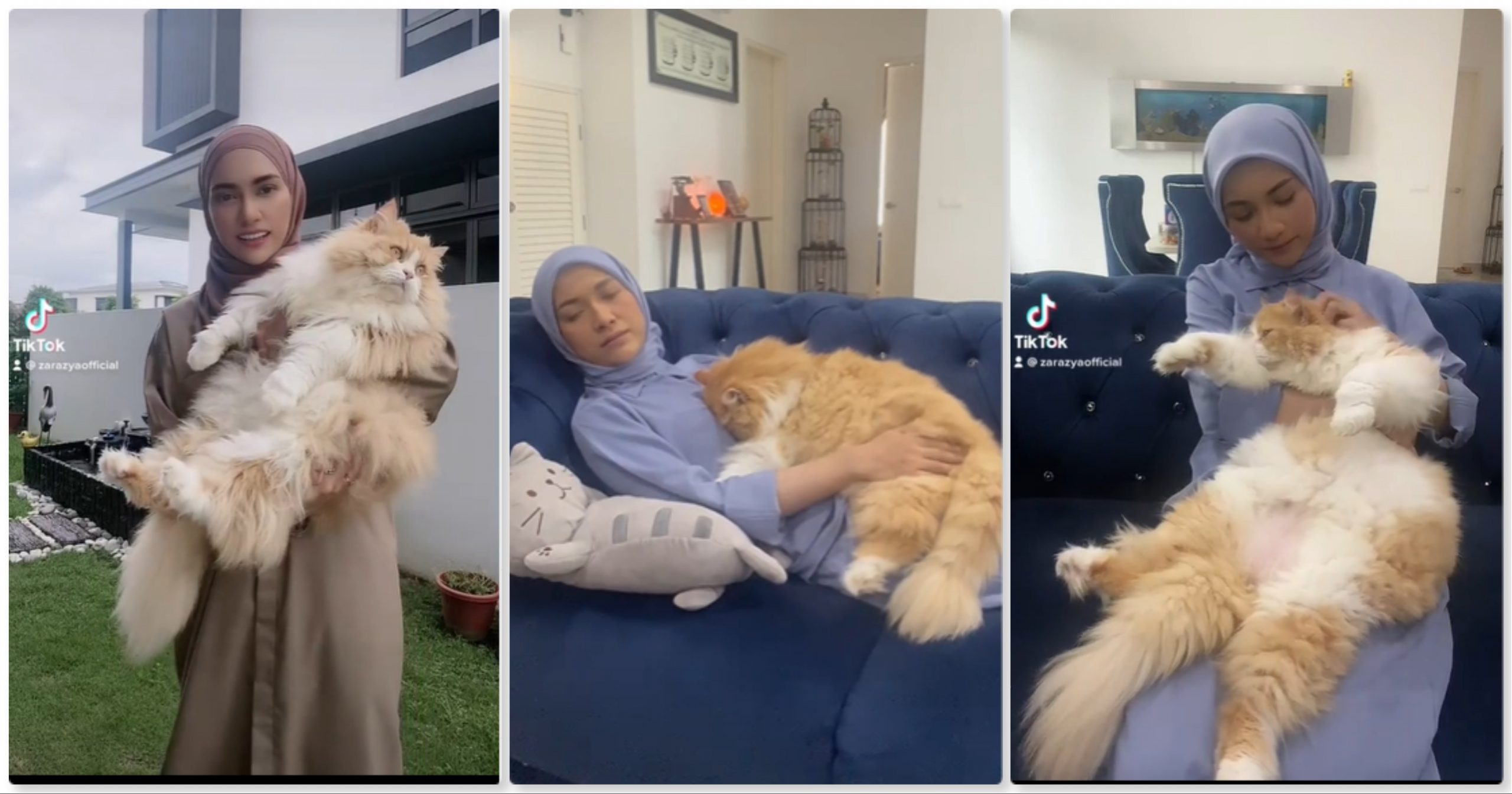 Kucing Kesayangan Pergi Selamanya, Luahan Zara Zya Pula Buat Ramai Sebak – Lubuk Viral – Lubuk Viral